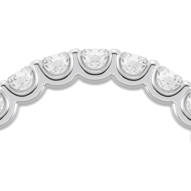 Anniversary Bands | AMIPI